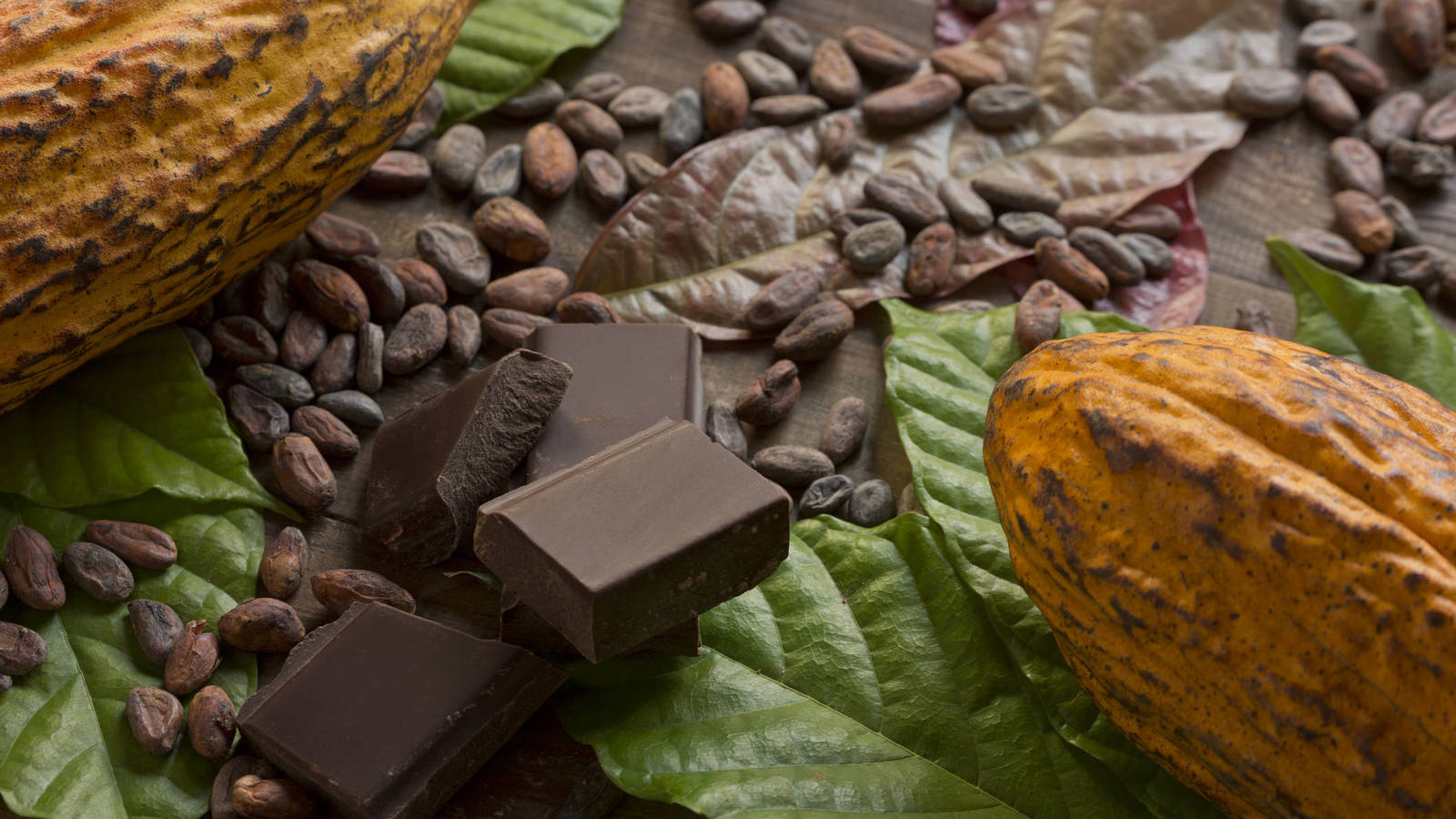 What Is The Origin Of Chocolate In Mexico M xico what-is-the-origin-of-chocolate-in-mexico-m-xico