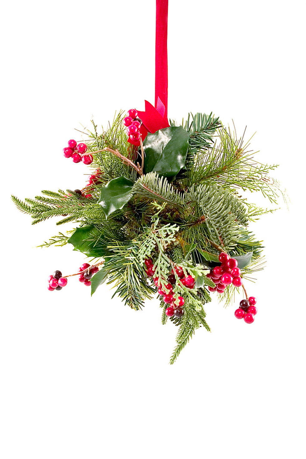 What's the real magic behind the mistletoe? - Bon Vivant, Wellnessing