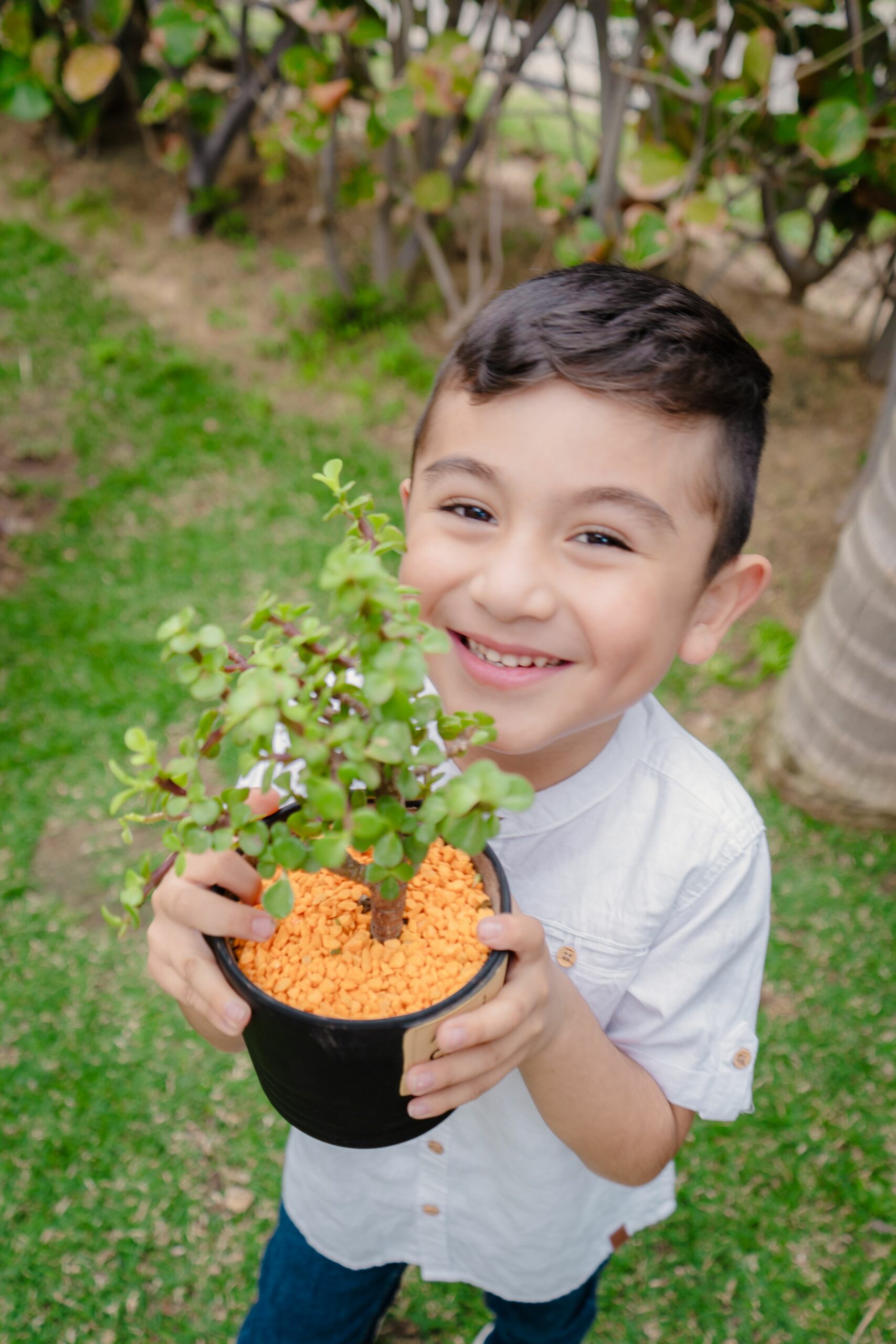 ‘Adopt a Plant', an initiative to cultivate green awareness