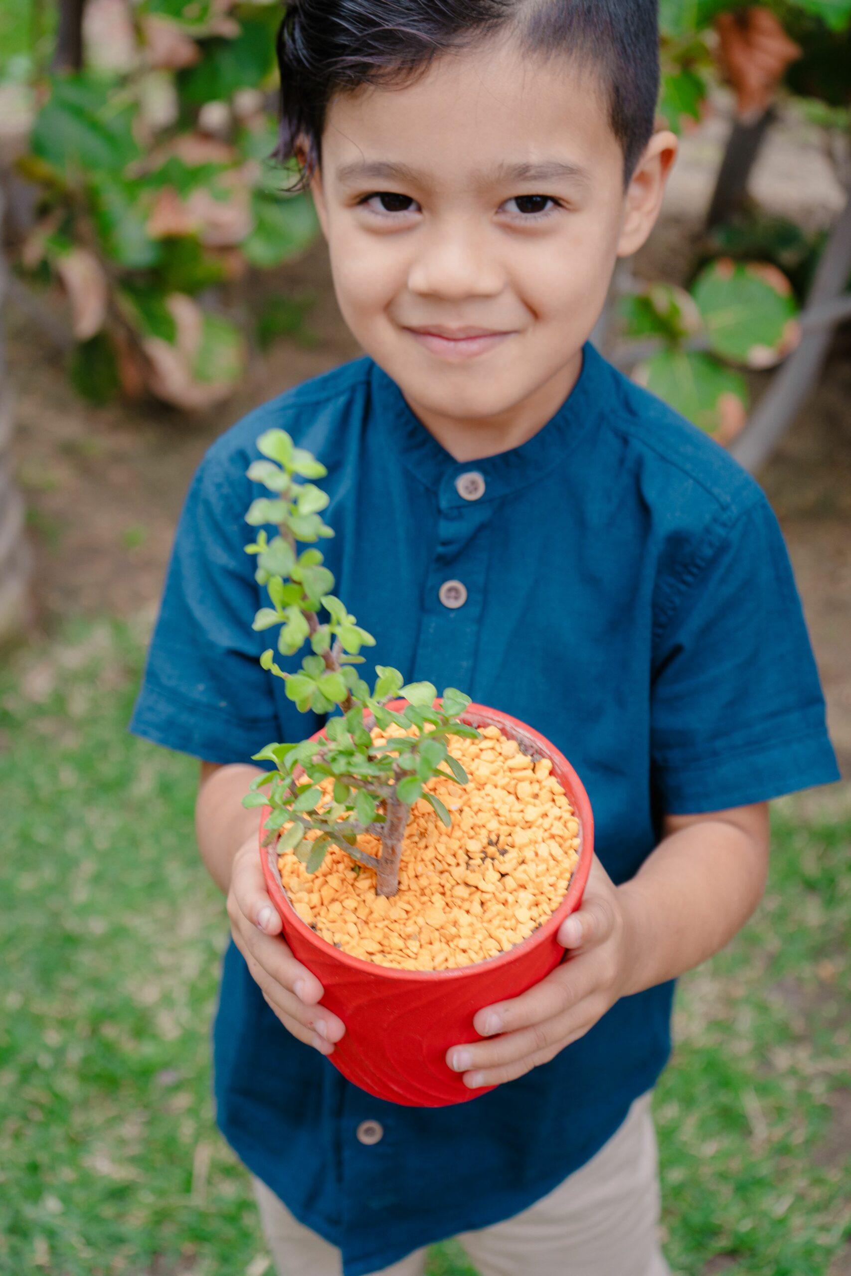 ‘Adopt a Plant', an initiative to cultivate green awareness